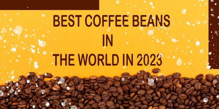 Best Coffee Beans in the World in 2023